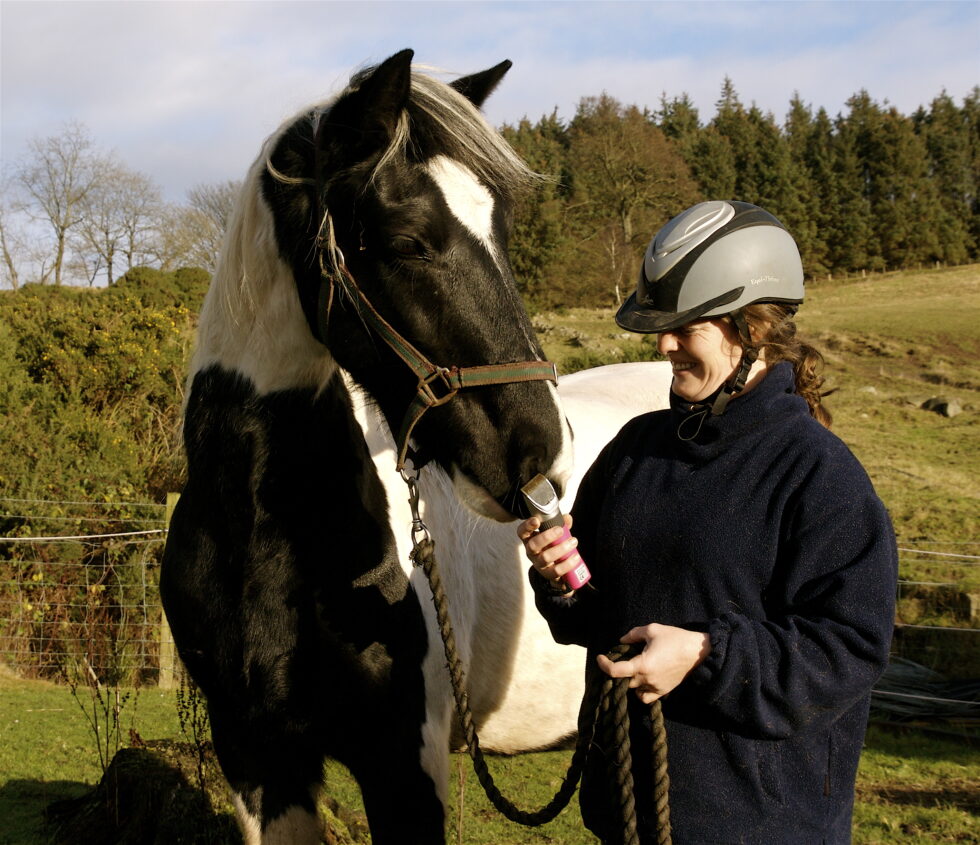 Felicity George » Equine Behaviour Affiliation